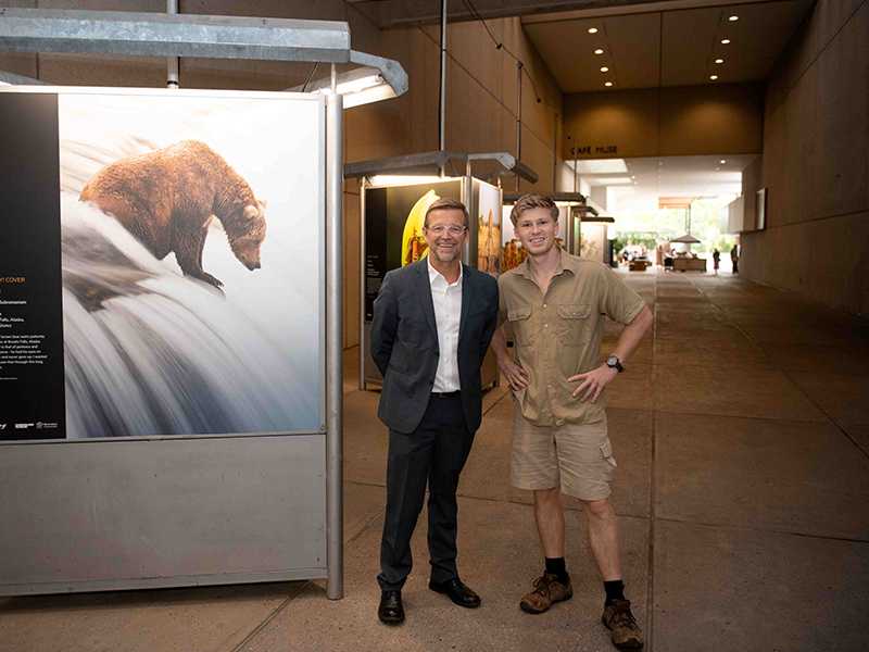 Crikey! Museum to showcase winning wildlife images - Media | Queensland ...