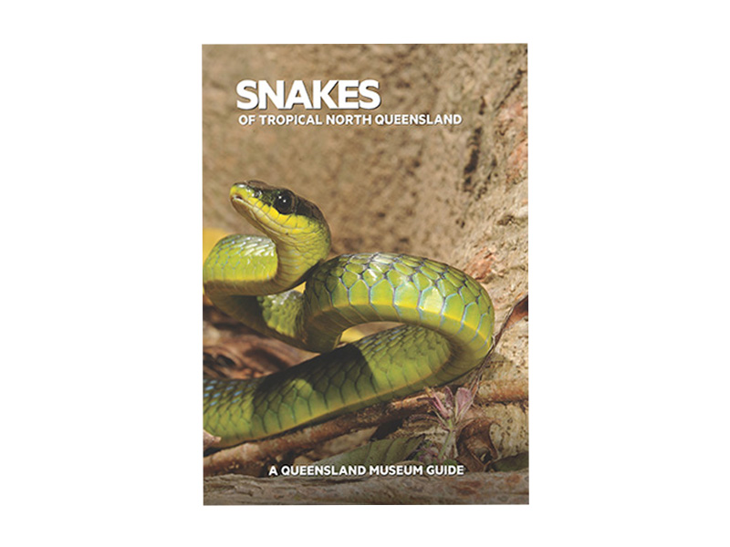 QLD Museum | Pocket guides