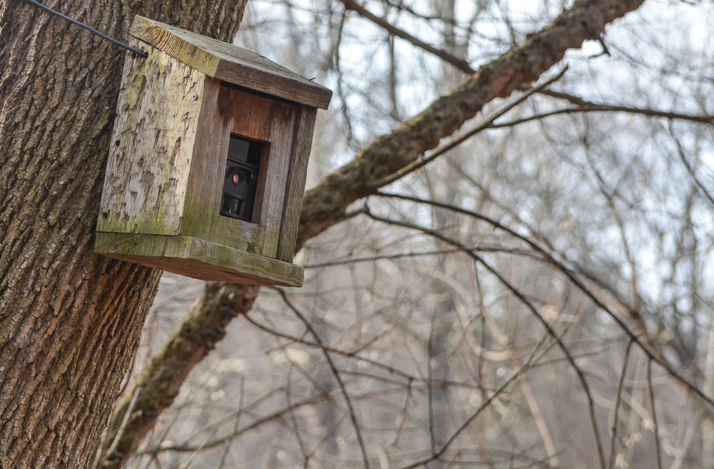 Cameras in Disguise: Design Challenge - QM Learning Resource