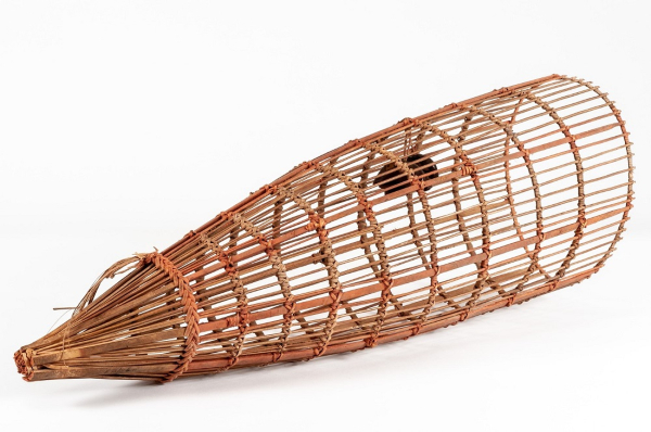 First Nations Scientists - Learning Resources | Queensland Museum