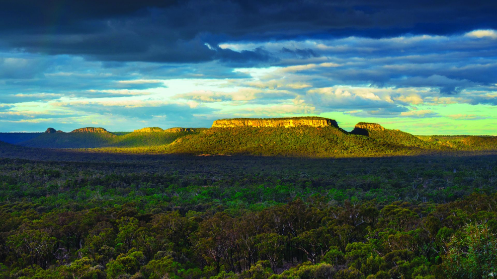 In Search of Ancient Queensland - Learning Resources | Queensland Museum