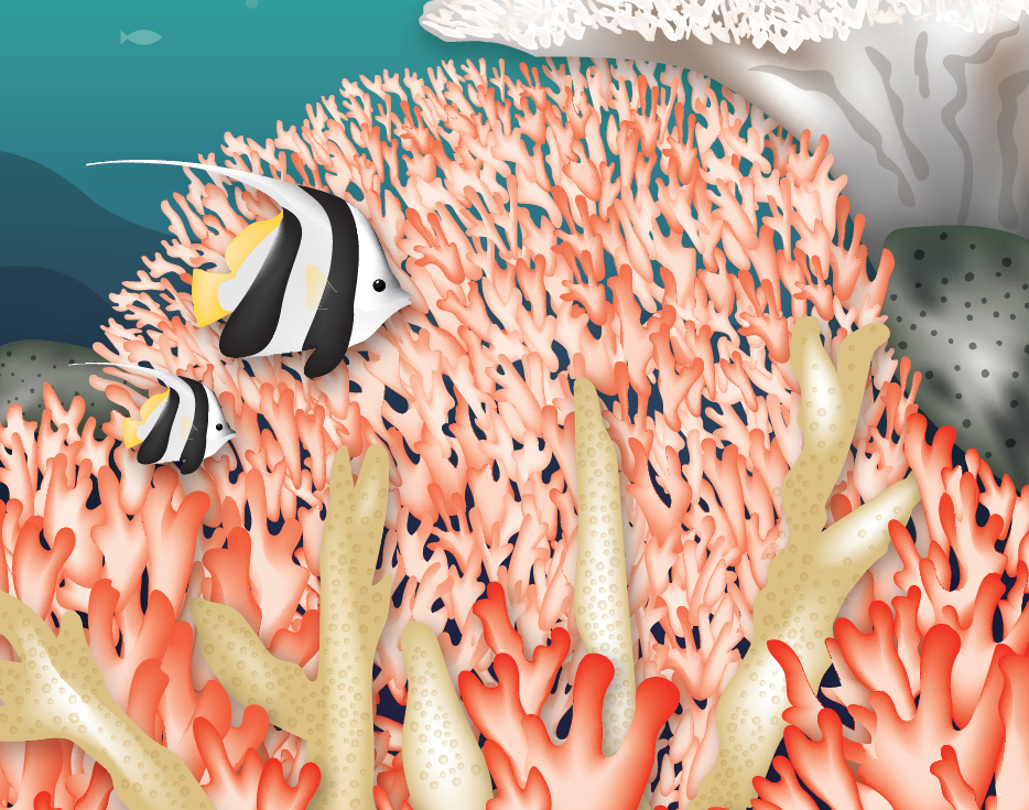 Introduction to Ocean Acidification - Learning Resources | Queensland ...