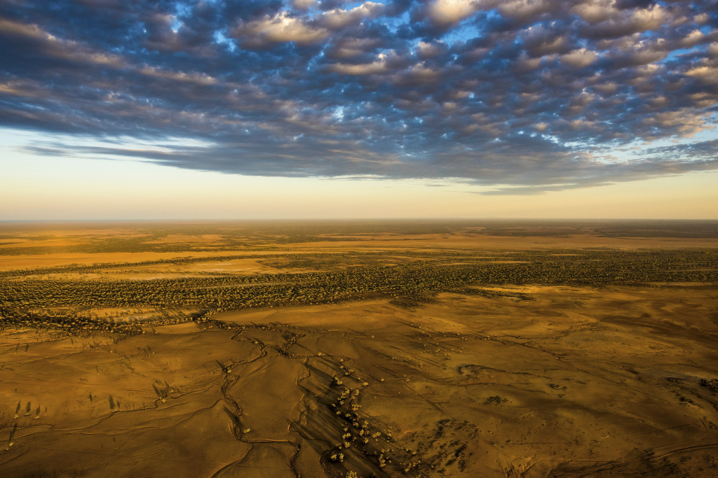 It's Alive: Conditions on Earth - Learning Resources | Queensland Museum