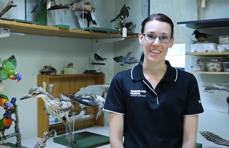 Emu | Little Learners - Learning Resources | Queensland Museum