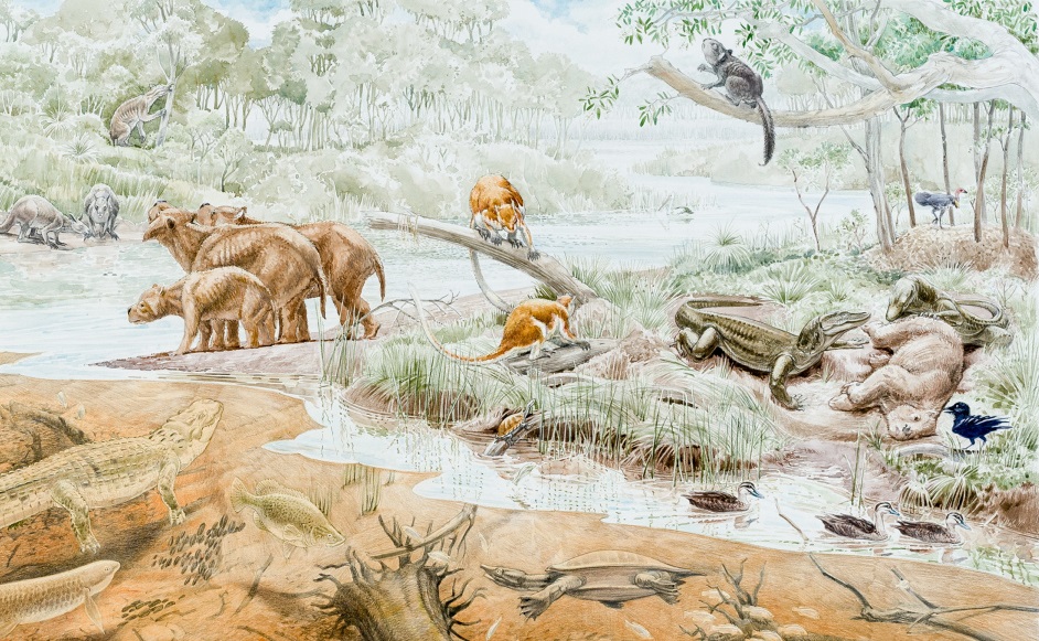 Project DIG | Meet the Megafauna - Learning Resources | Queensland Museum