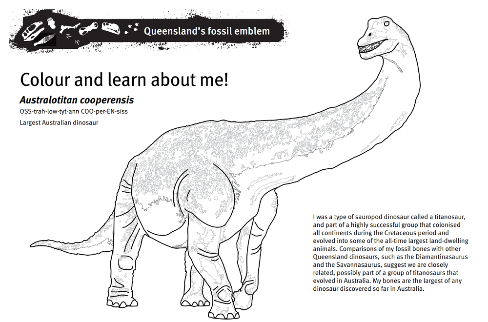 Colour and Learn About Me | Queensland's Fossil Emblem - Learning ...