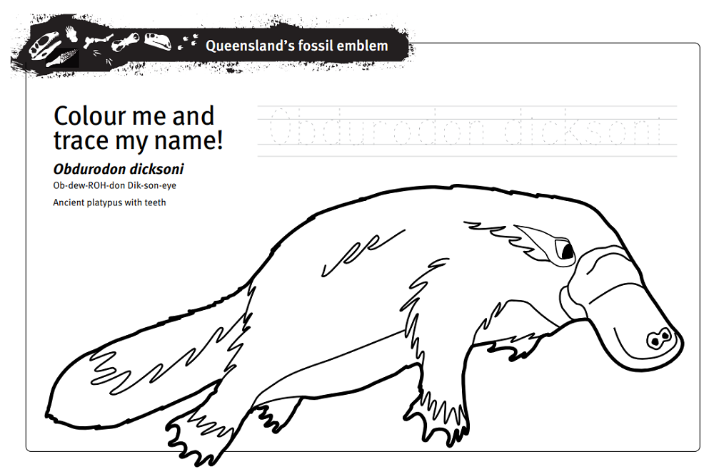 Colour Me and Trace My Name | Queensland's Fossil Emblem - Learning ...