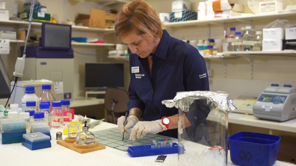 STEM Video: Dr Jessica Worthington-Wilmer - QMN Learning Resource