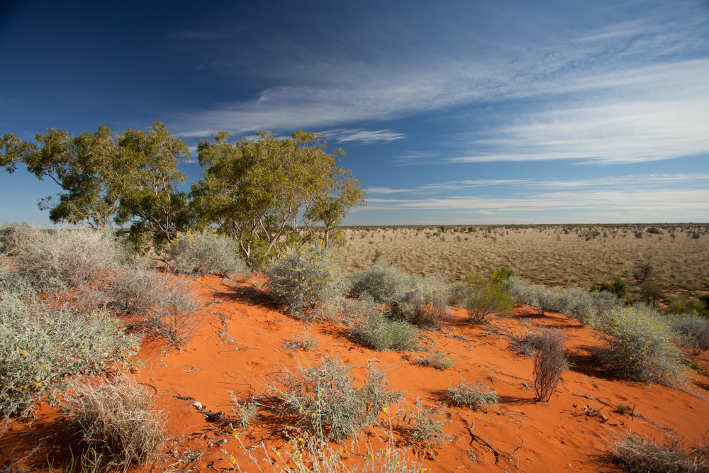 Survival in Extreme Environments - Learning Resources | Queensland Museum