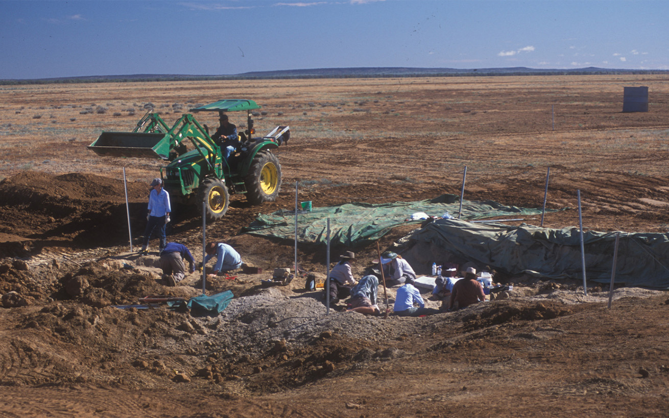 Dinosaurs - Collections & Research | Queensland Museum