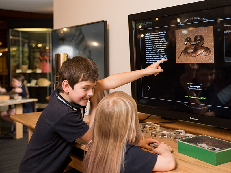 Toowoomba: From Swamp to City - School programs | Queensland Museum Cobb+Co